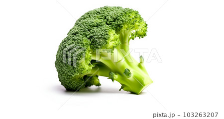 Broccoli inflorescences on a white background,...のイラスト素材 [103263207 ...