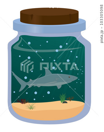 Grey reef shark in glass jar artwork vector...のイラスト素材 [103305098] - PIXTA