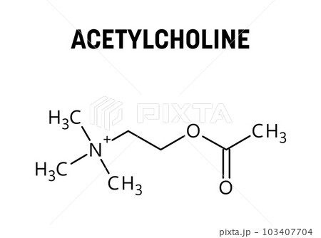 Acetylcholine molecular structure....のイラスト素材 [103407704] - PIXTA