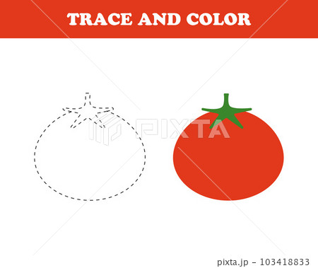 Trace and color worksheet for kids, tomato,...のイラスト素材 [103418833] - PIXTA