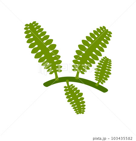 Gorgonian or galaxy coral aquarium seaweed,...のイラスト素材 [103435582] - PIXTA