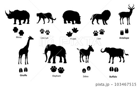 African animal silhouettes with footprints....のイラスト素材 [103467515] - PIXTA