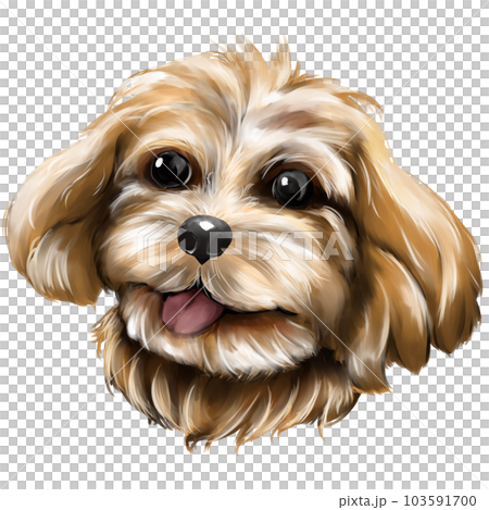 Cute havanese head paint style PNGのイラスト素材 [103591700] - PIXTA