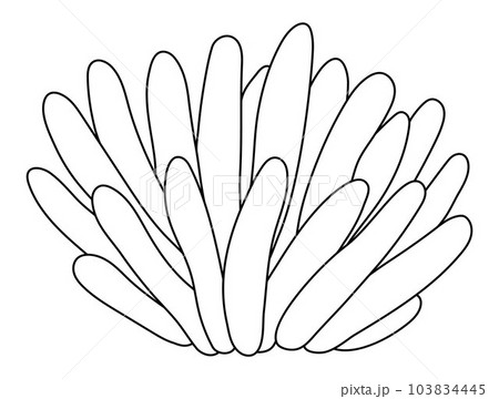 Sea Anemone Drawing For Kids