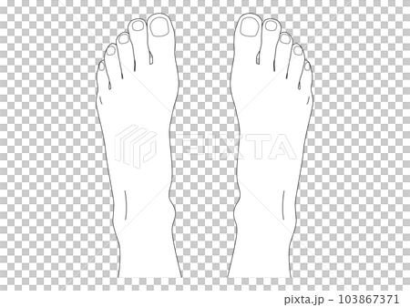 Human body parts instep foot finger line... - Stock Illustration ...