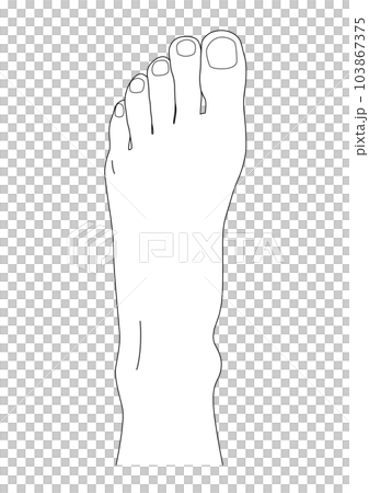 Human body parts instep foot line drawing skin... - Stock Illustration ...