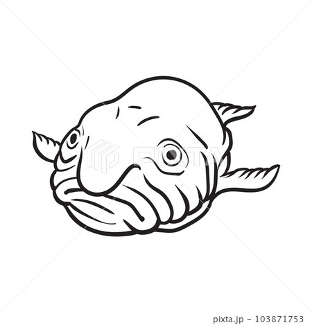 Blob-Fish vector outlineのイラスト素材 [103871753] - PIXTA