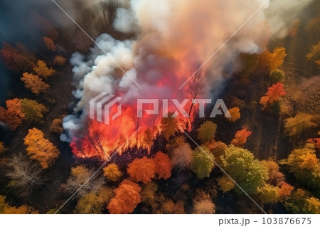 Top view of raging forest fire. Rapidly...のイラスト素材 [103876675] - PIXTA