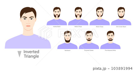 Set of Beard style for Inverted Triangle face...のイラスト素材 [103891994] - PIXTA