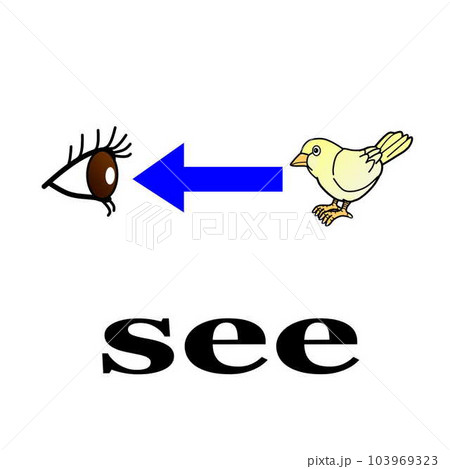 英単語seeの概念イラストのイラスト素材 [103969323] - PIXTA