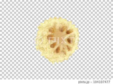 Lotus root tempura realistic illustration - Stock Illustration ...