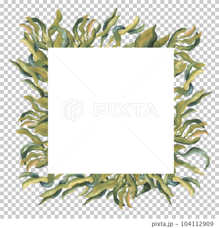 Square Frame of seaweed, coral and shells.... - Stock Illustration ...