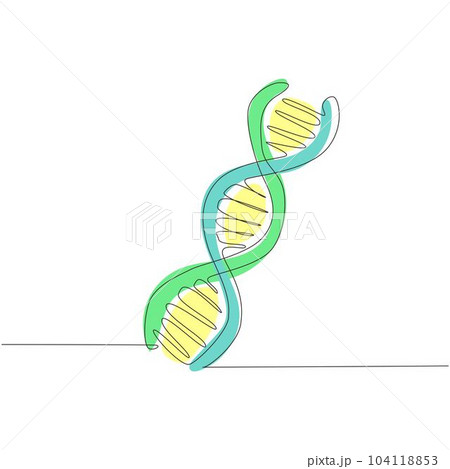 Single one line drawing helix or DNA. Low poly...のイラスト素材 [104118853 ...