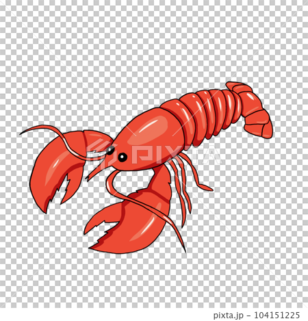 Robsterのイラスト素材 [104151225] - PIXTA