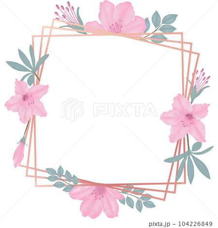Watercolour pink azalea flower frame set.のイラスト素材 [104226849] - PIXTA