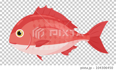 Cute bream snail illustration - Stock Illustration [104306450] - PIXTA