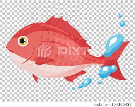 Illustration of a cute sea bream swimming - Stock Illustration ...