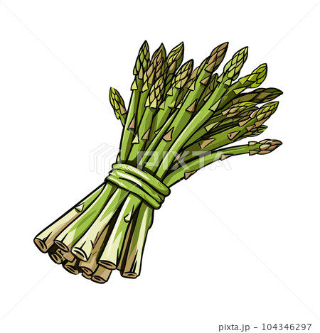 Animated Asparagus