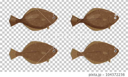 Cute flatfish illustration material set - Stock Illustration [104372236 ...