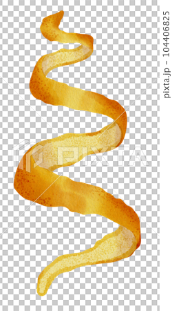 Spiral Orange Zest. Hand drawn watercolor...のイラスト素材 [104406825] - PIXTA