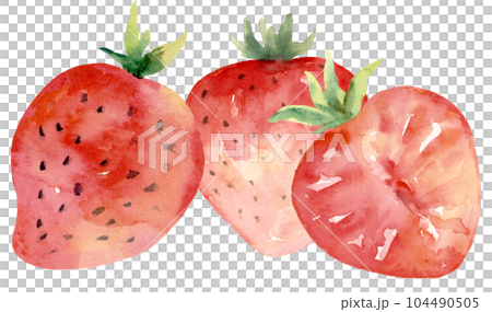 Strawberry Border Divider