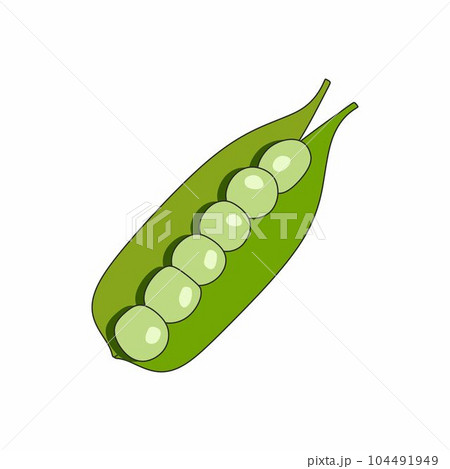 Peas legumes icon. Flat illustration of peas...のイラスト素材 [104491949] - PIXTA