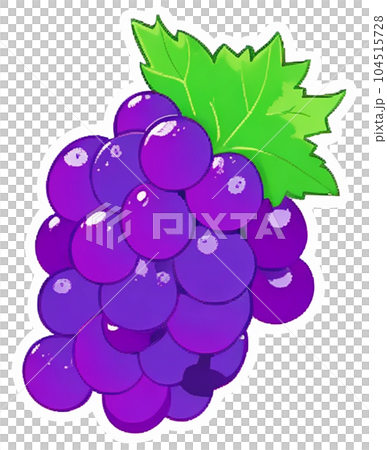cartoon purple grapes green leafのイラスト素材 [104515728] - PIXTA