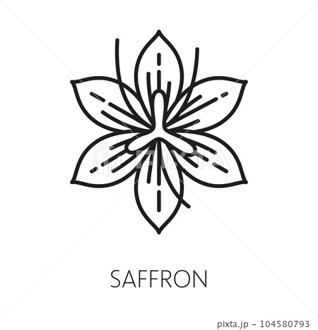 Saffron Flower Line Drawing | Best Flower Site