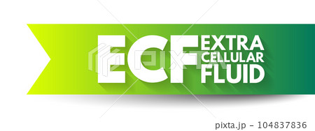 ECF Extracellular fluid - body fluid that is...のイラスト素材 [104837836] - PIXTA
