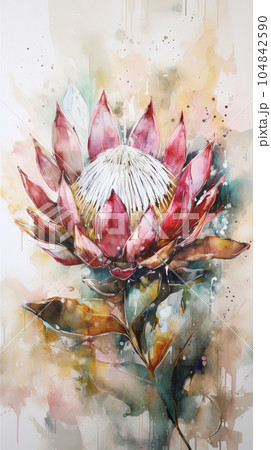 Abstract protea floral oil painting. Colorful...のイラスト素材 [104842590] - PIXTA