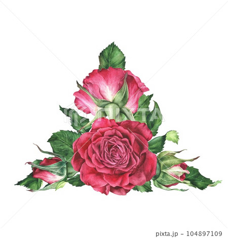 Triangular composition of pink roses....のイラスト素材 [104897109] - PIXTA