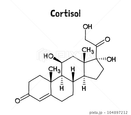 Cortisol molecular structure. Cortisol is a...のイラスト素材 [104897212] - PIXTA