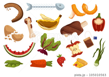 Collection Of Organic Waste. Biodegradable Food...のイラスト素材 [105010563 ...