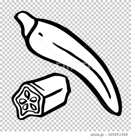 illustration line drawing of okra - Stock Illustration [105051369] - PIXTA