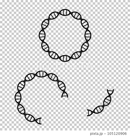plasmid DNA - Stock Illustration [105120906] - PIXTA