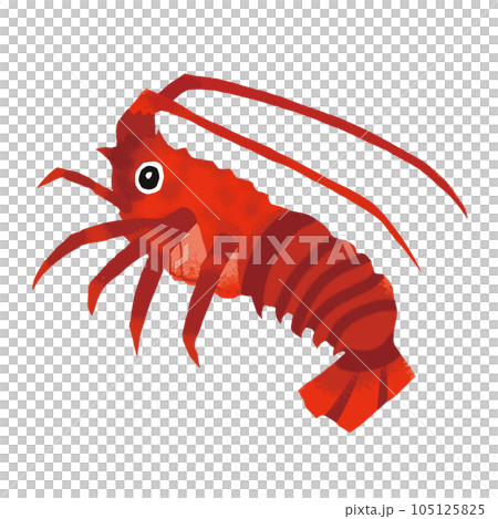 伊勢海老のイラスト素材のイラスト素材 [105125825] - PIXTA