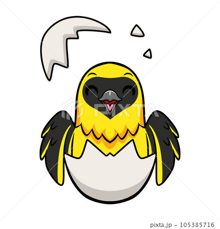 Cute weaver bird cartoon inside from eggのイラスト素材 [105385716] - PIXTA