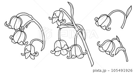 Simple Lily Outline