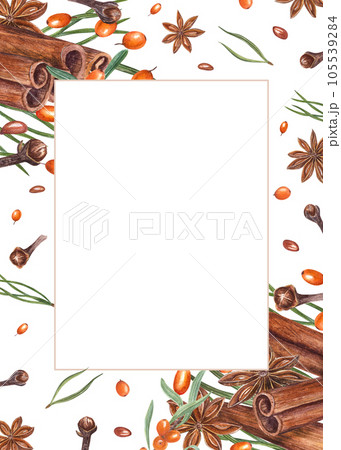 Watercolor cinnamons, star anise, sea...のイラスト素材 [105539284] - PIXTA