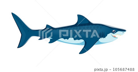 Cartoon sand tiger shark character. Isolated...のイラスト素材 [105687488] - PIXTA