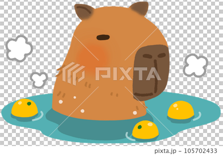 Capybara in a hot spring - Stock Illustration [105702433] - PIXTA