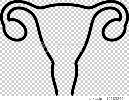 Uterus Transparent Background