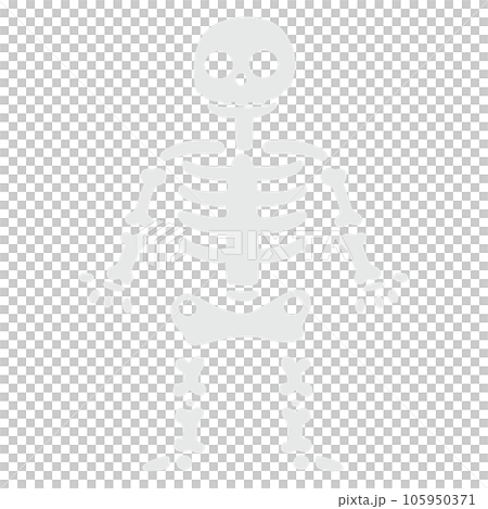 skeleton bone body system cartoon - Stock Illustration [105950371] - PIXTA