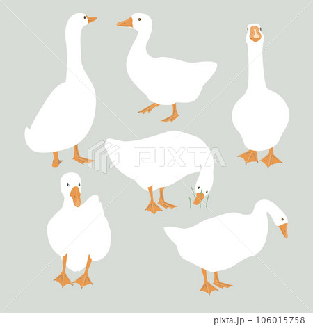 Geese And Duck Clip Art