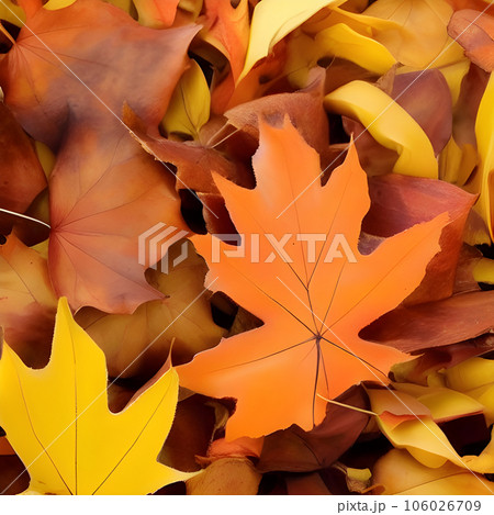 Autumn orange, leaves fall random background,...のイラスト素材 [106026709] - PIXTA