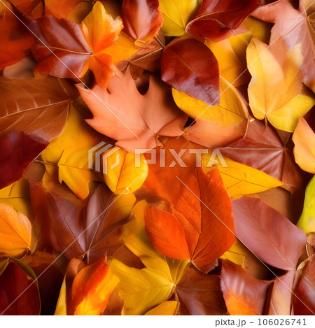 Autumn orange, leaves fall random background,...のイラスト素材 [106026741] - PIXTA