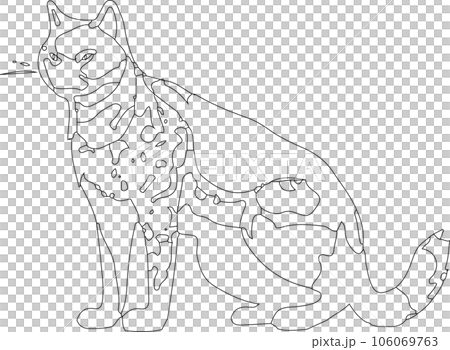 Realistic black cat illustration_line drawing - Stock Illustration ...