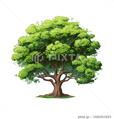 Cartoon realistic Tree Isolated on White...のイラスト素材 [106092893] - PIXTA