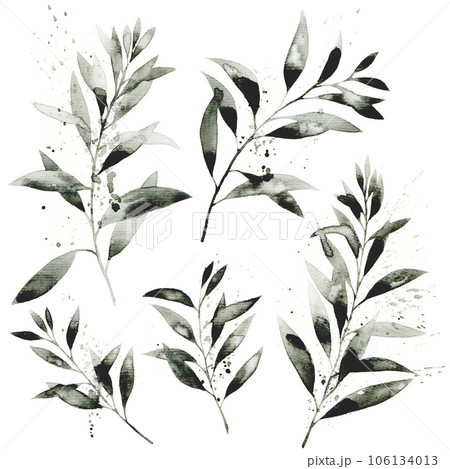 Tree leaves setのイラスト素材 [106134013] - PIXTA