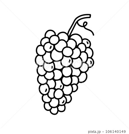 Grape isolated on white backgroundのイラスト素材 [106140149] - PIXTA